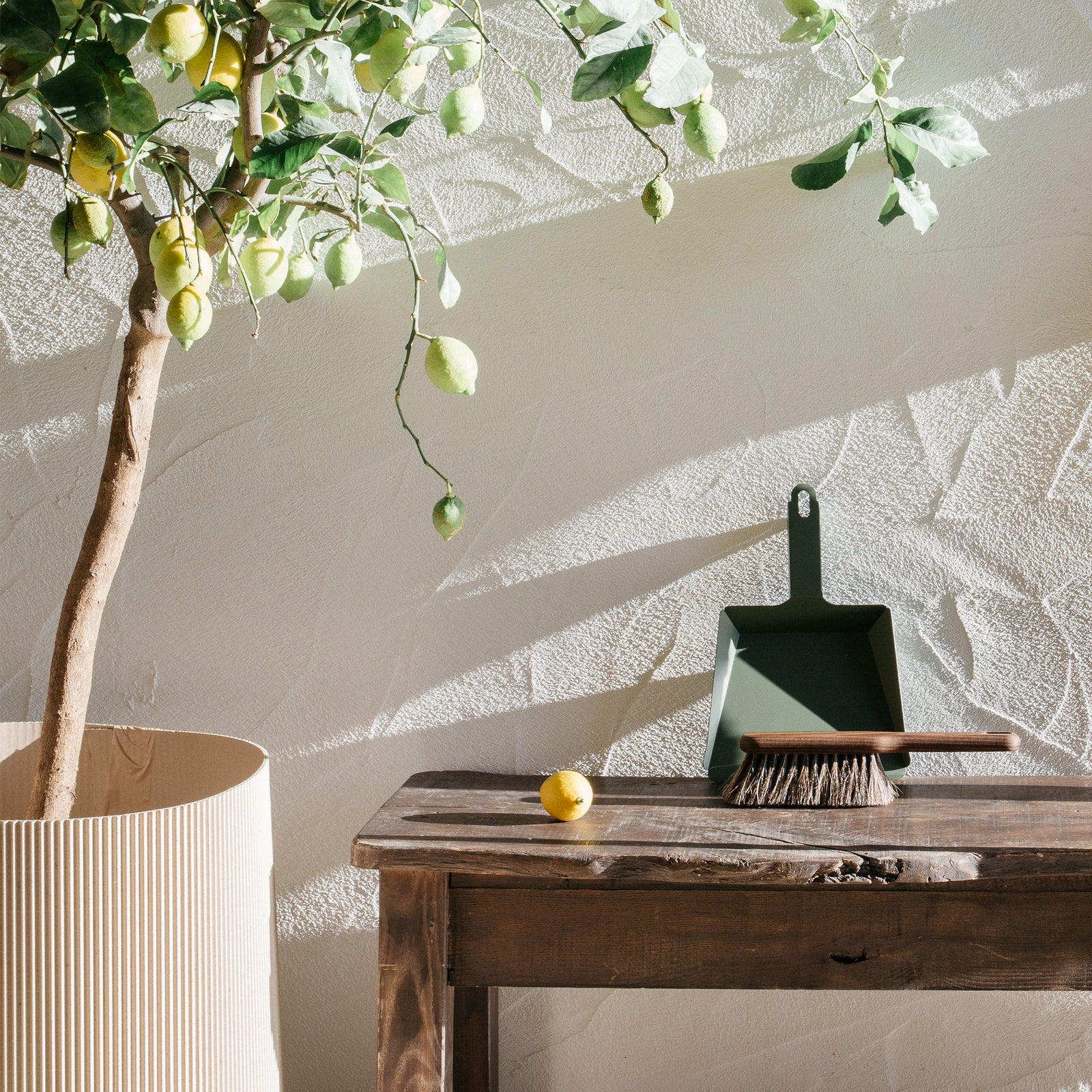 Coffret Pelle Balayette frêne Craft - Andrée Jardin